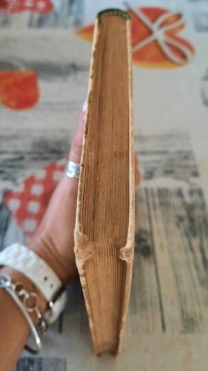 Tom Sojer – Mark Tven – Demago