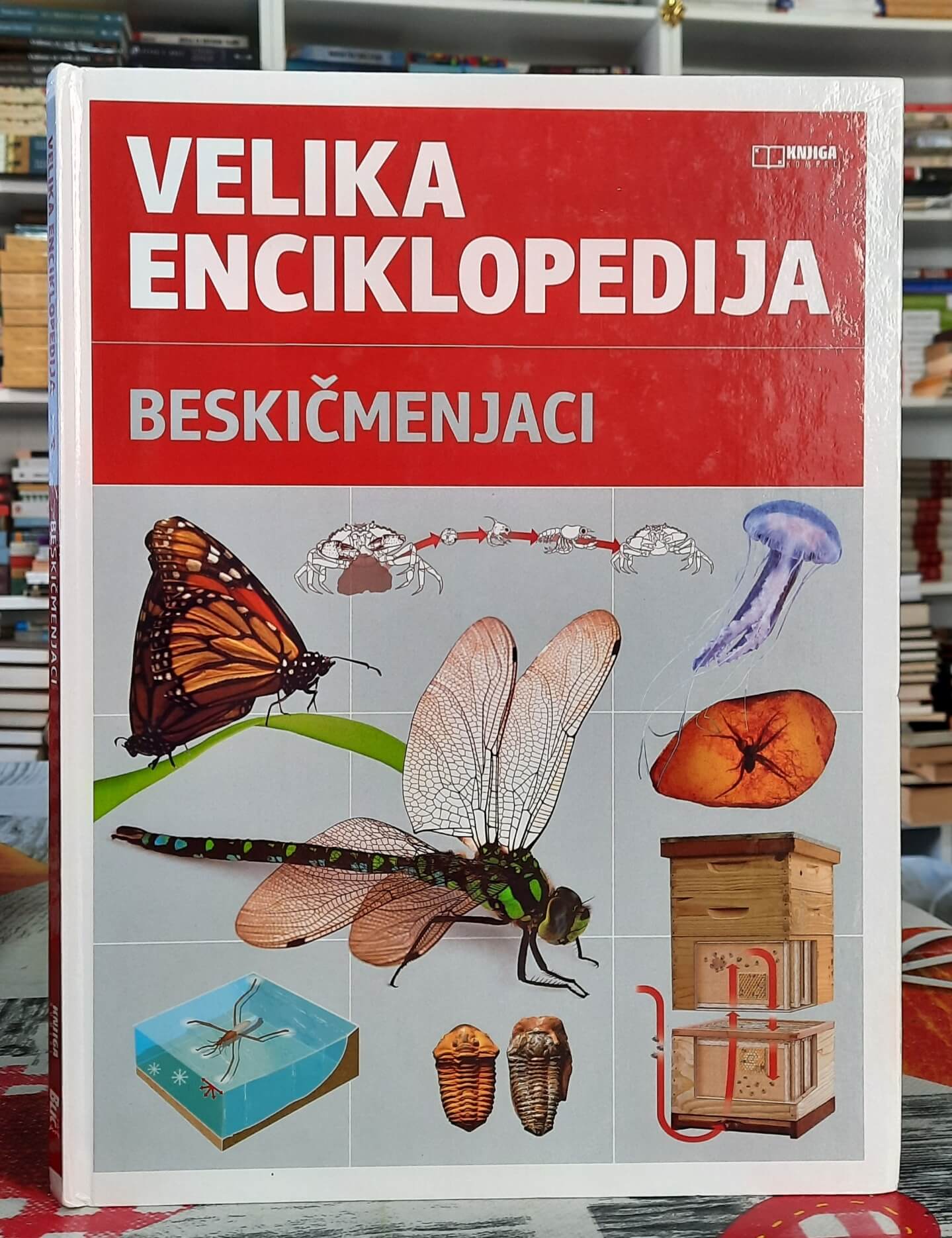 Beskičmenjaci - Velika Enciklopedija – | Knjižara Demago
