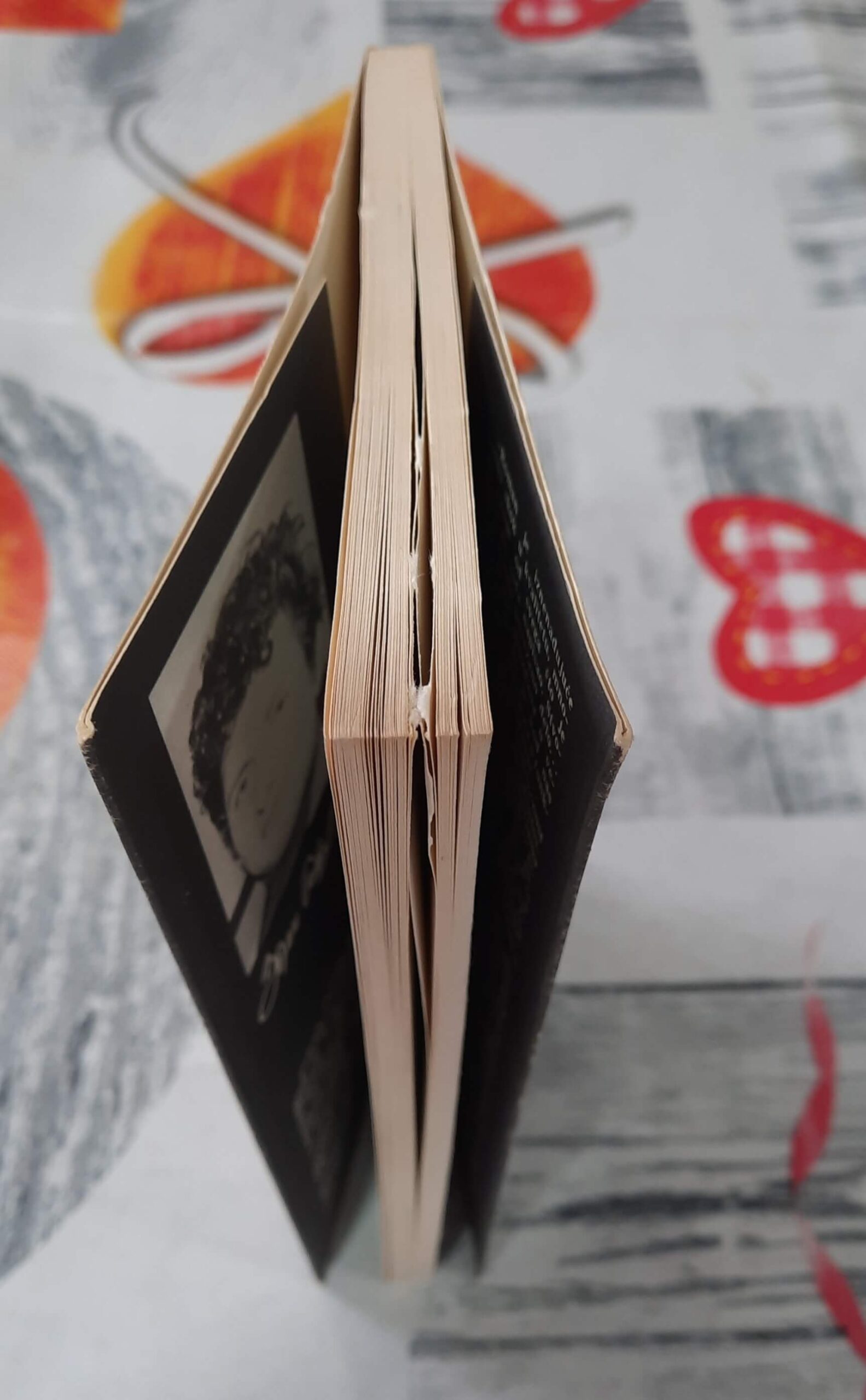 Skok u nesanicu – Zoran Slavić – Knjižara Demago