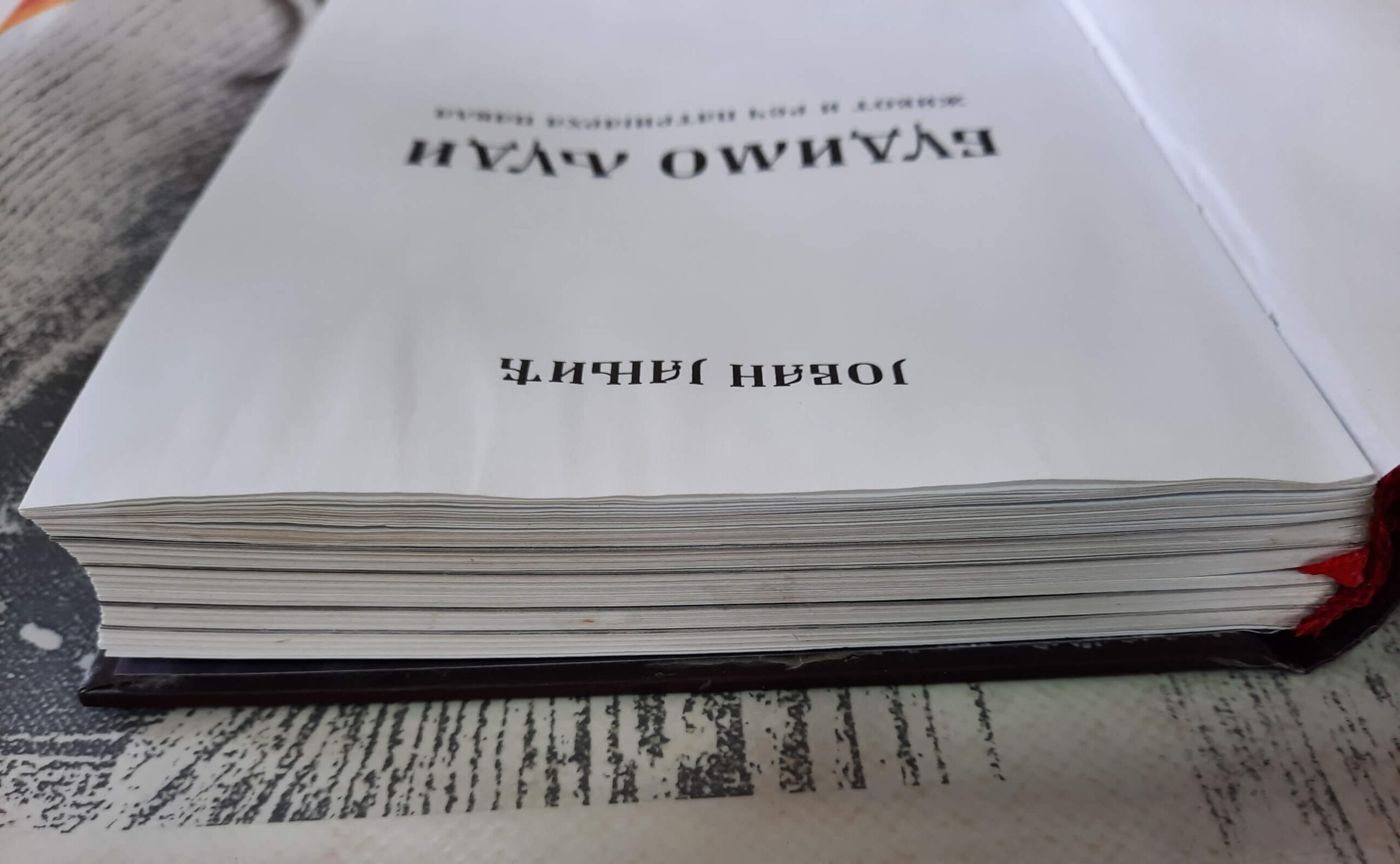 Budimo Ljudi - Život I Reč Patrijarha Pavla - Jovan Janjić – | Knjižara ...