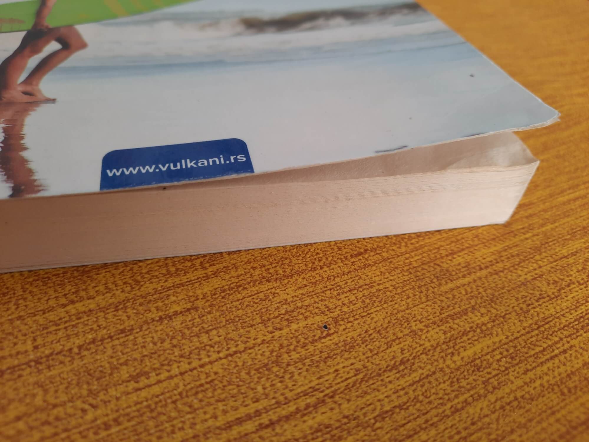 Svetac surfer i direktorka – Robin Šarma – Knjižara Demago