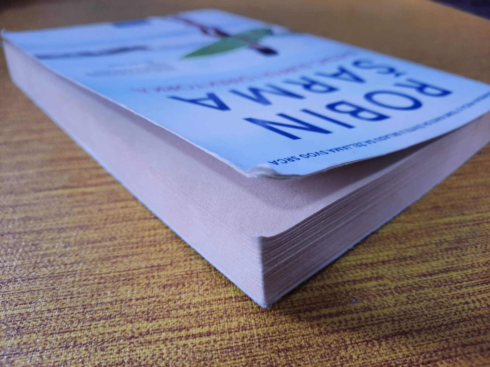 Svetac surfer i direktorka – Robin Šarma – Knjižara Demago