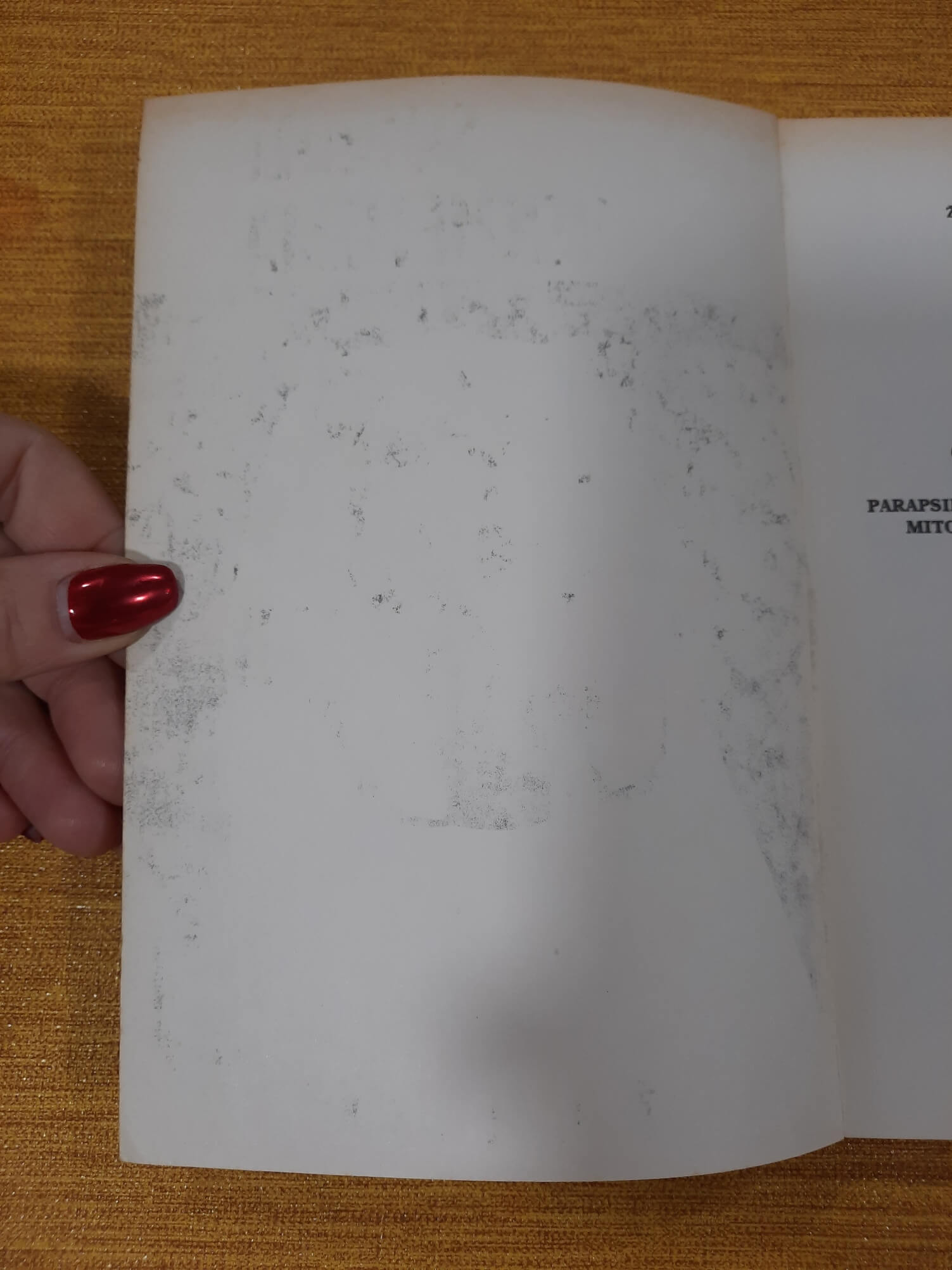 Simboli Hermetizma - Ž.M. Slavinski – | Knjižara Demago